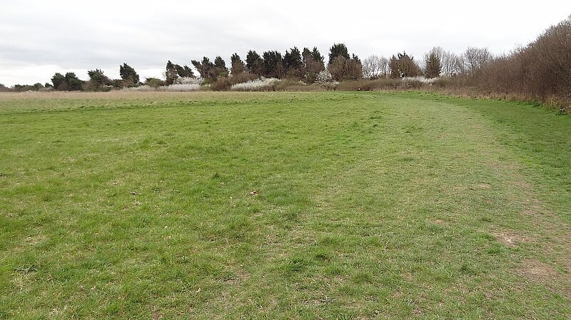 Funding secured for new motorcycle barrier on Roundshaw Downs - Sutton ...