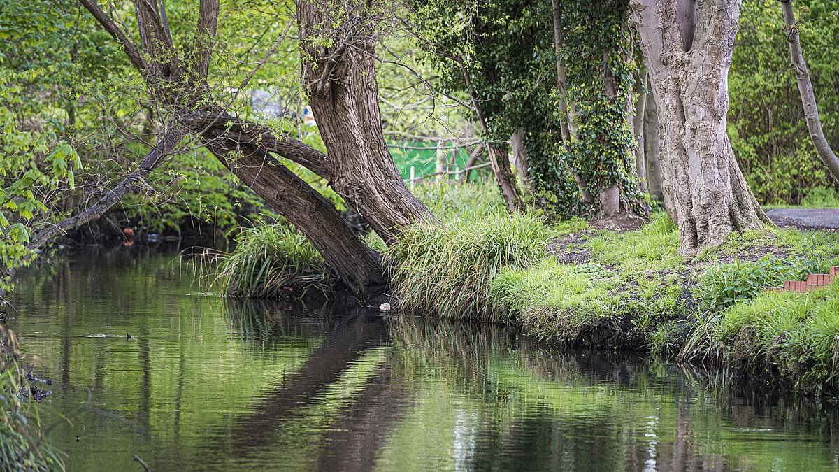 Thames Water revealed as second biggest earning water company despite ...